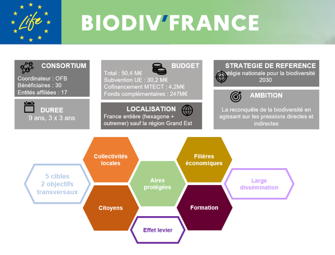 LIFE BIODIV’FRANCE : un appui renforcé pour les collectivités en Hauts-de-France